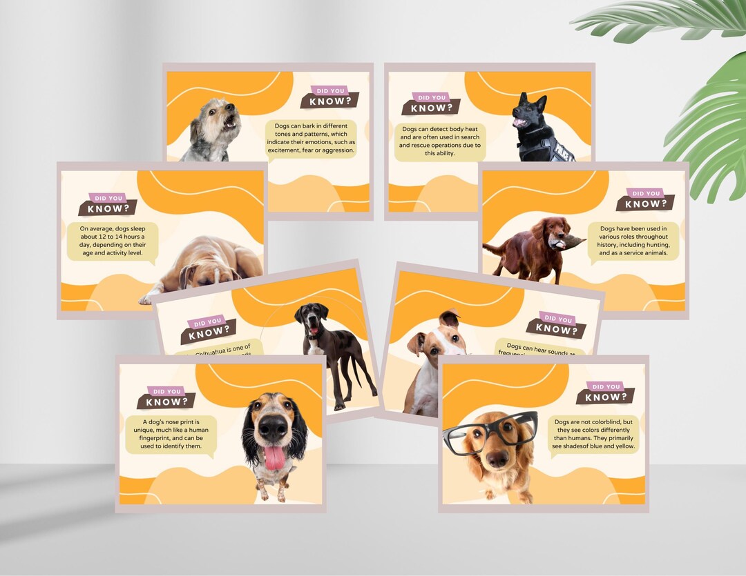 Editable Fun Facts About Dogs, Fun Facts Template in Canva ...
