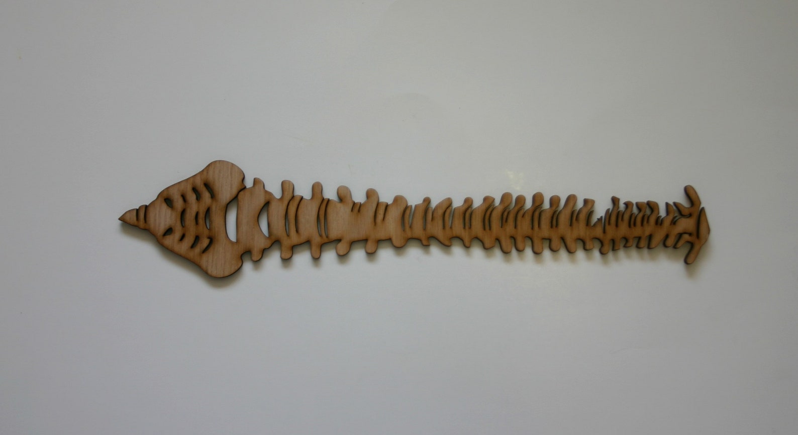 Human Spine Laser Cut Wood Sign Wall Art Medical Sign Human - Etsy