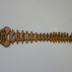 Human Spine Laser Cut Wood Sign Wall Art Medical Sign Human Anatomy Set ...