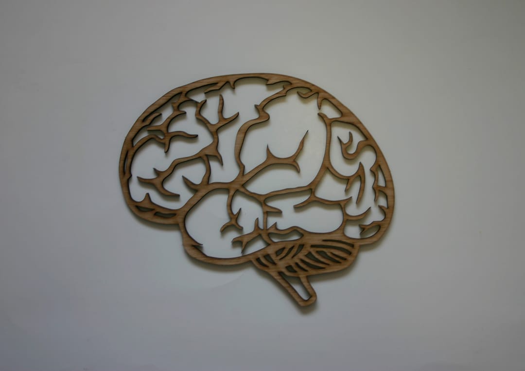 Anatomical Brain Laser Cut Wood Sign Wall Art Medical Sign - Etsy