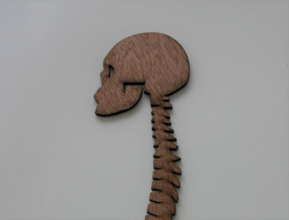 Human Spine Laser Cut Wood Sign Wall Art Medical Sign Human | Etsy