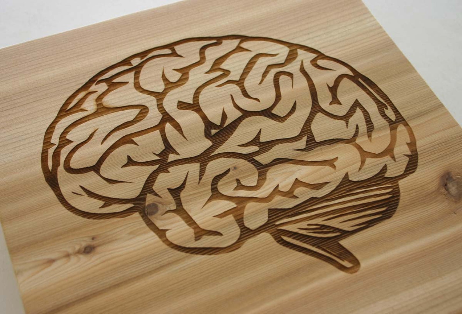 Brain Cedar Sign Laser Engraved Wood Sign Brain Medical Sign - Etsy
