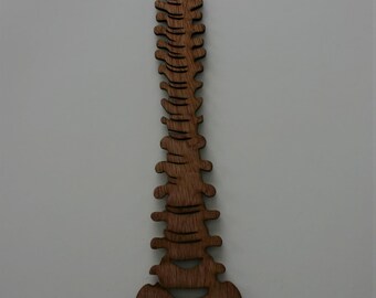 Human Spine Laser Cut Wood Sign Wall Art Medical Sign Human | Etsy