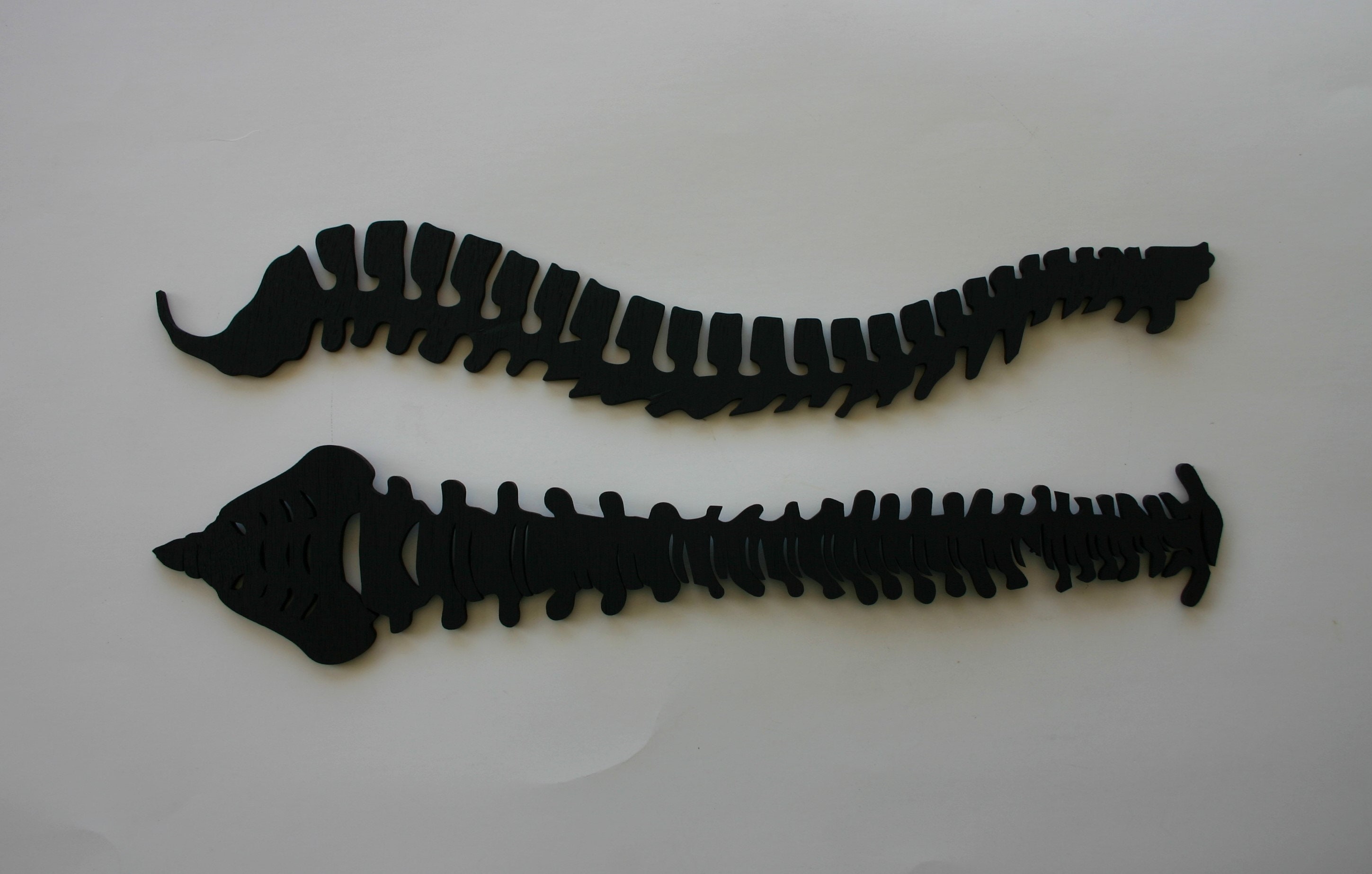 Human Spine Laser Cut Wood Sign Wall Art Medical Sign Human Anatomy Set ...