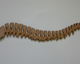 Human Spine Laser Cut Wood Sign Wall Art Medical Sign Human Anatomy Set ...