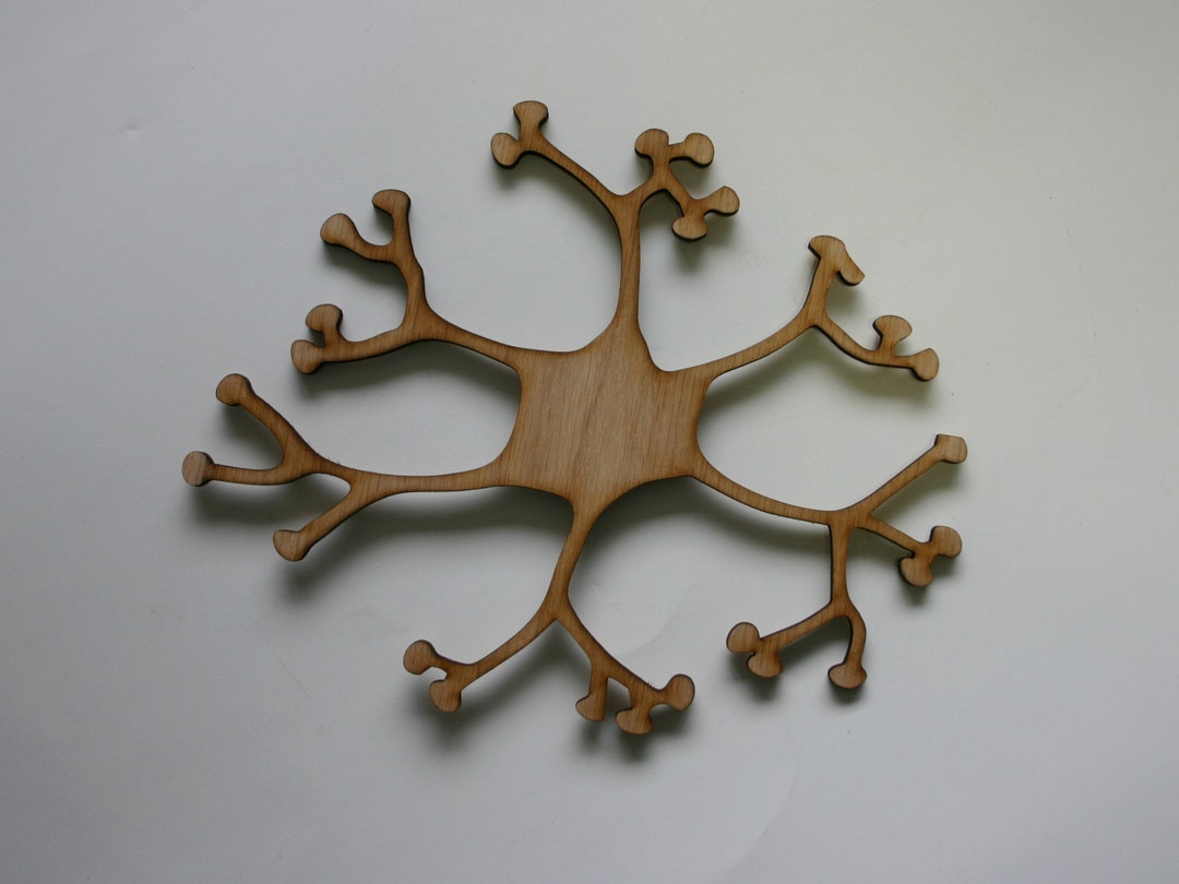 Brain Neuron Wood Sign Wall Art Medical Office Decor - Etsy