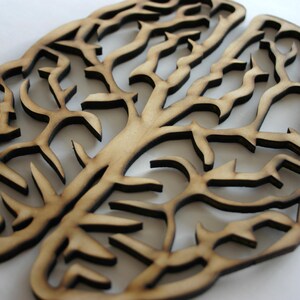 Anatomical Brain Laser Cut Wood Sign Wall Art Medical Sign - Etsy