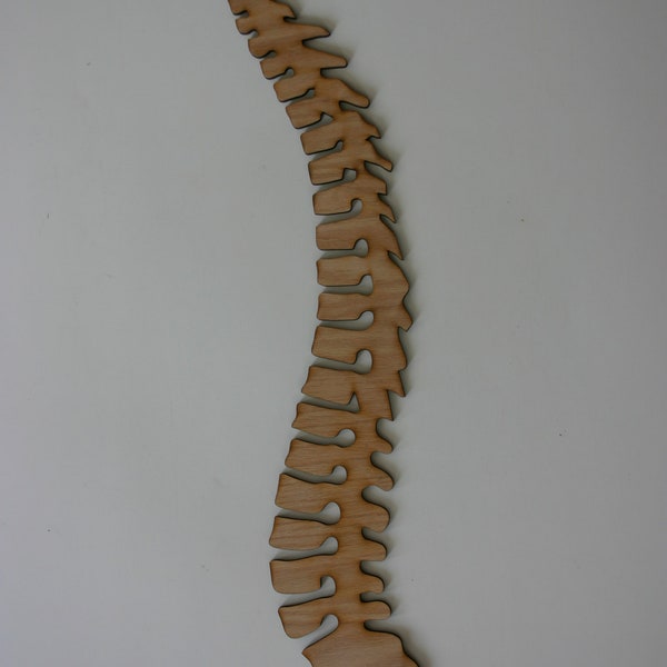 Laser Cut Spine Wall Art - Etsy