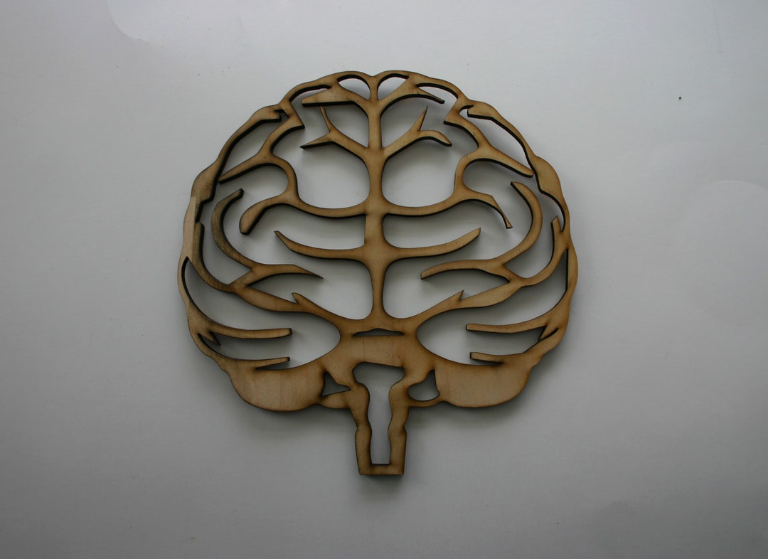 Anatomical Brain Anatomy Laser Cut Wood Sign Wall Art Medical Sign - Etsy