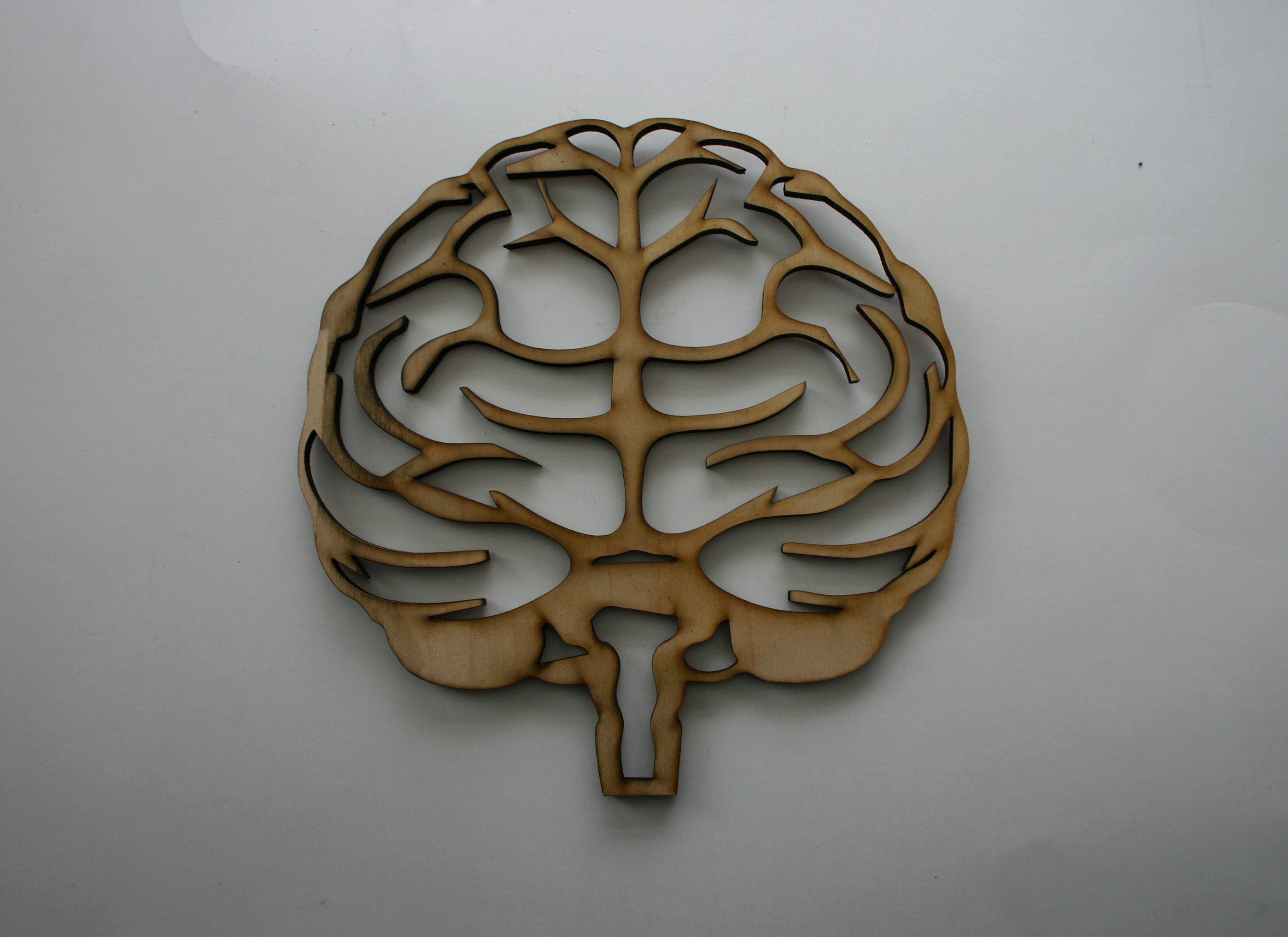 Anatómico Cerebro Anatomía Laser Cut Wood Sign Wall Art - Etsy México