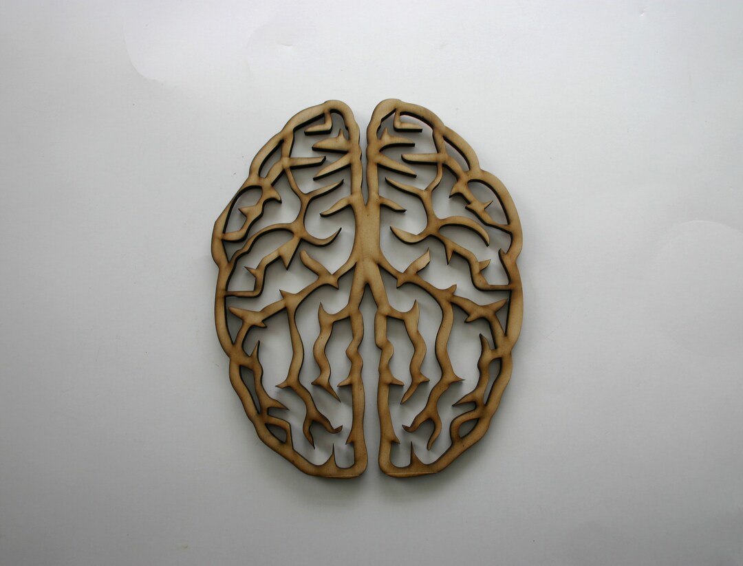 Anatomical Brain Laser Cut Wood Sign Wall Art Medical Sign - Etsy