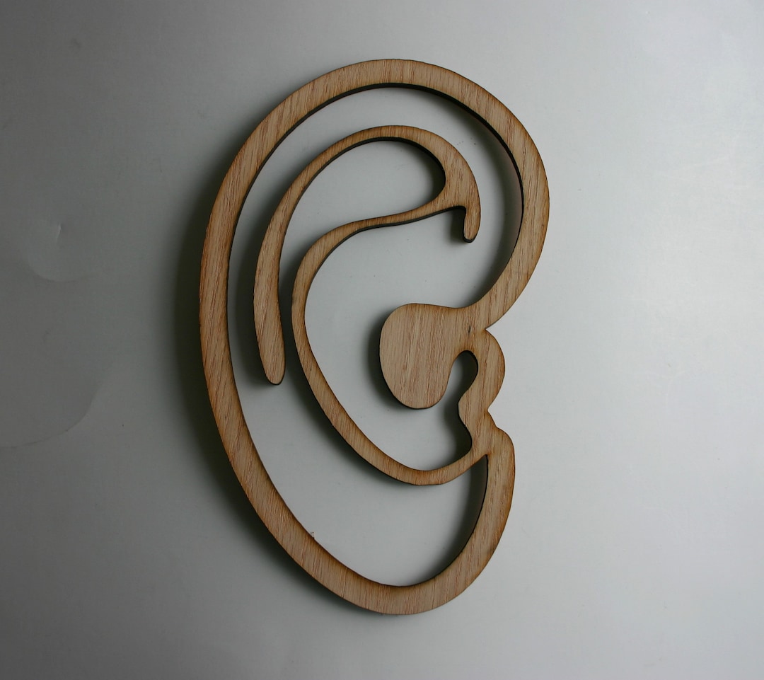 Ear Anatomy Wall Art Wooden Doctor Decor Office Sign - Etsy