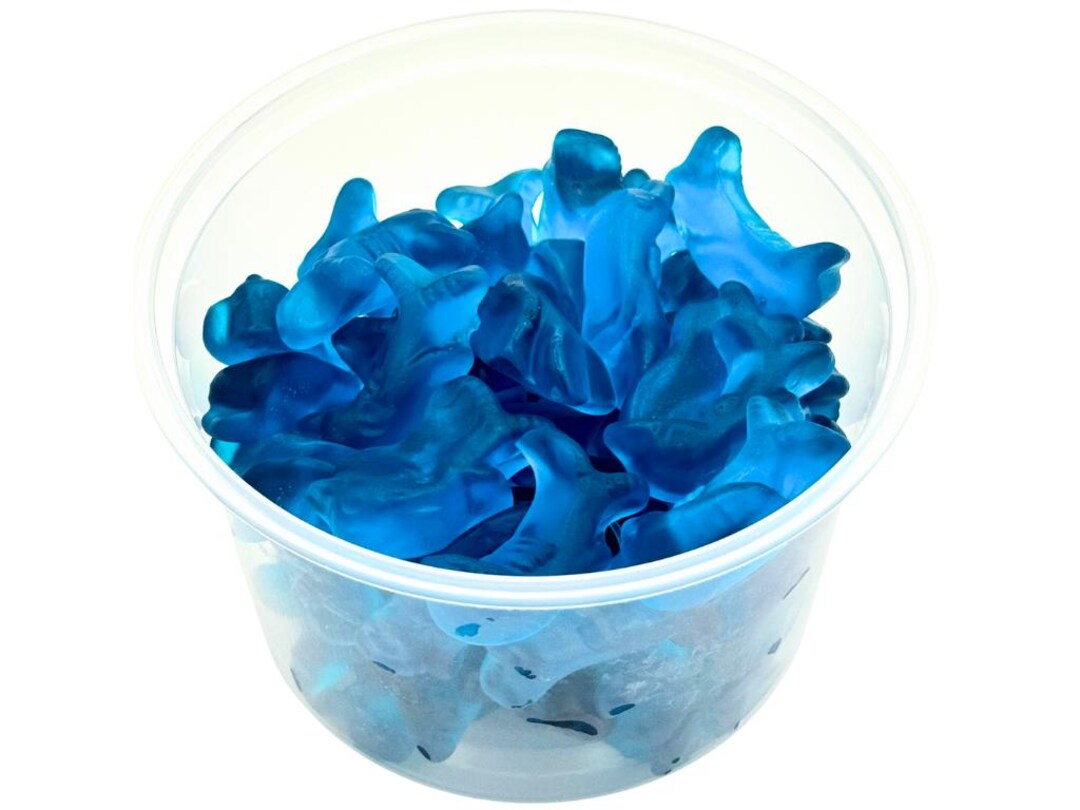 Sea Animal Gummy Dolphins 10.6oz, Chewy Candy Snack, Under the Sea ...