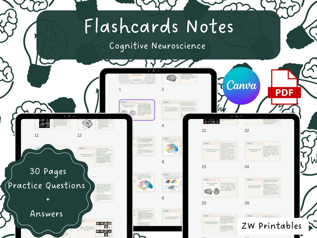 Cognitive Neuroscience Flashcards: Study Notes & Practice (PDF + Canva ...
