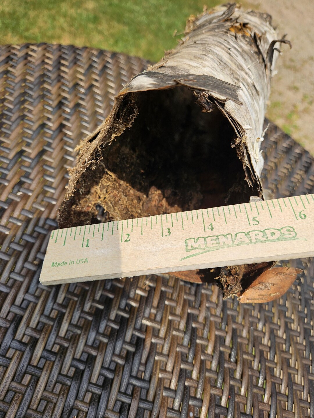 Fully Intact, Natural, Authentic Birch Bark Pieces, Tree, Craft ...