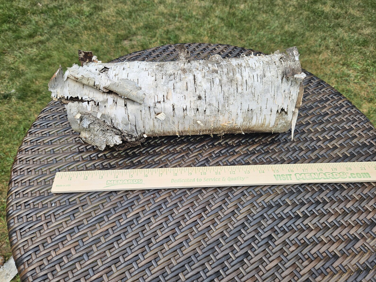 Fully Intact, Natural, Authentic Birch Bark Pieces, Tree, Craft ...