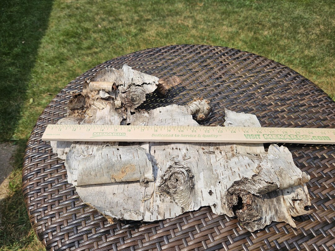 Large, Natural, Authentic Birch Bark Piece, Tree, Craft Supplies - Etsy