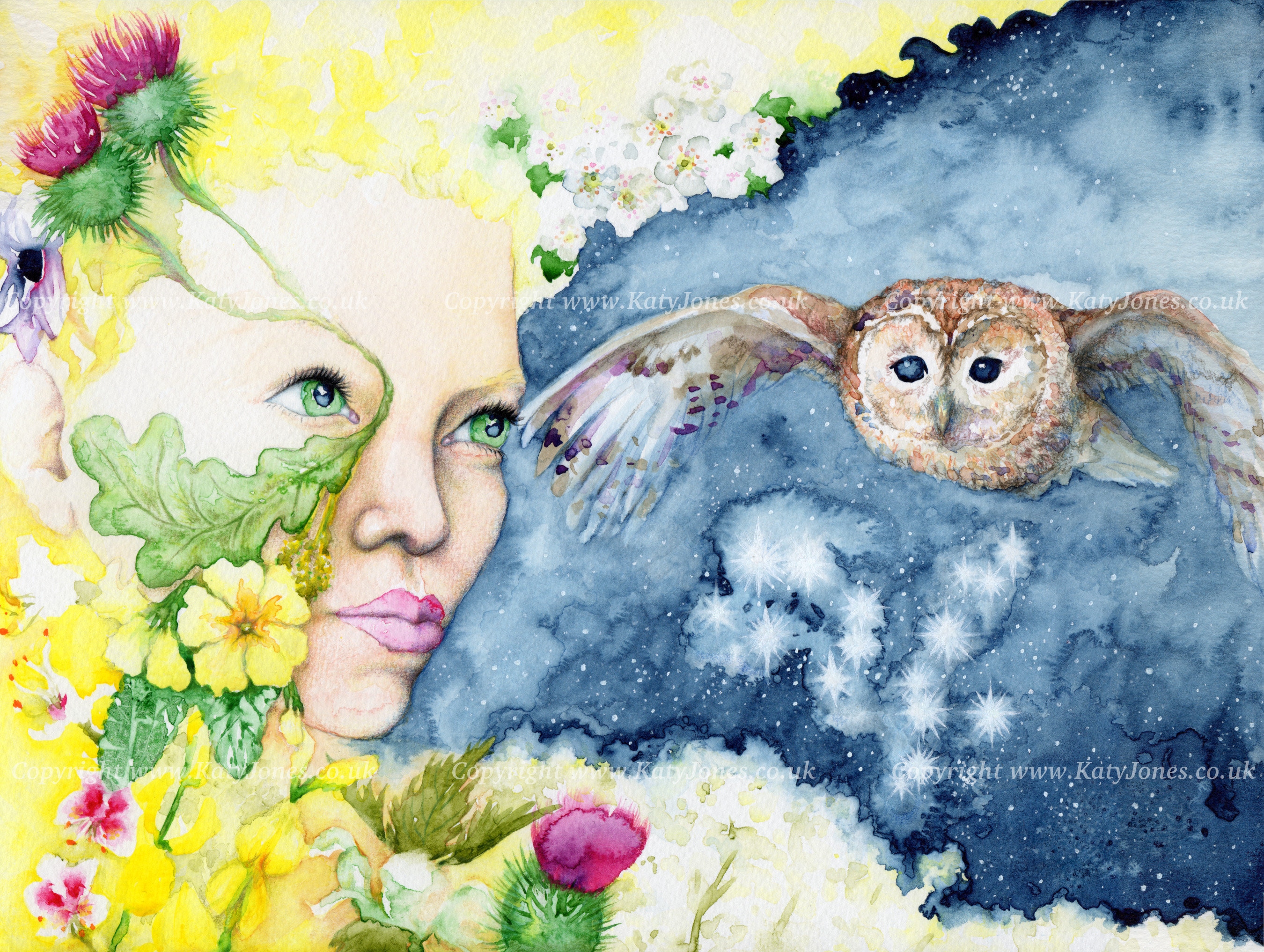 Blodeuwedd Small Art Print Inspired by the Mabinogion Owl - Etsy