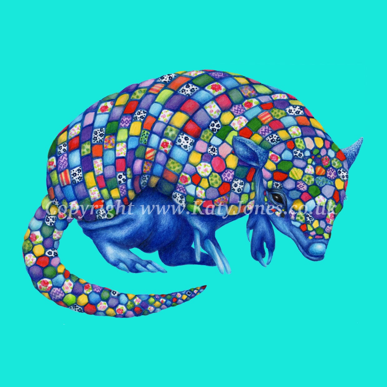 Rainbow Armadillo Whimsical Wildlife Art Coaster on Turquoise - Etsy