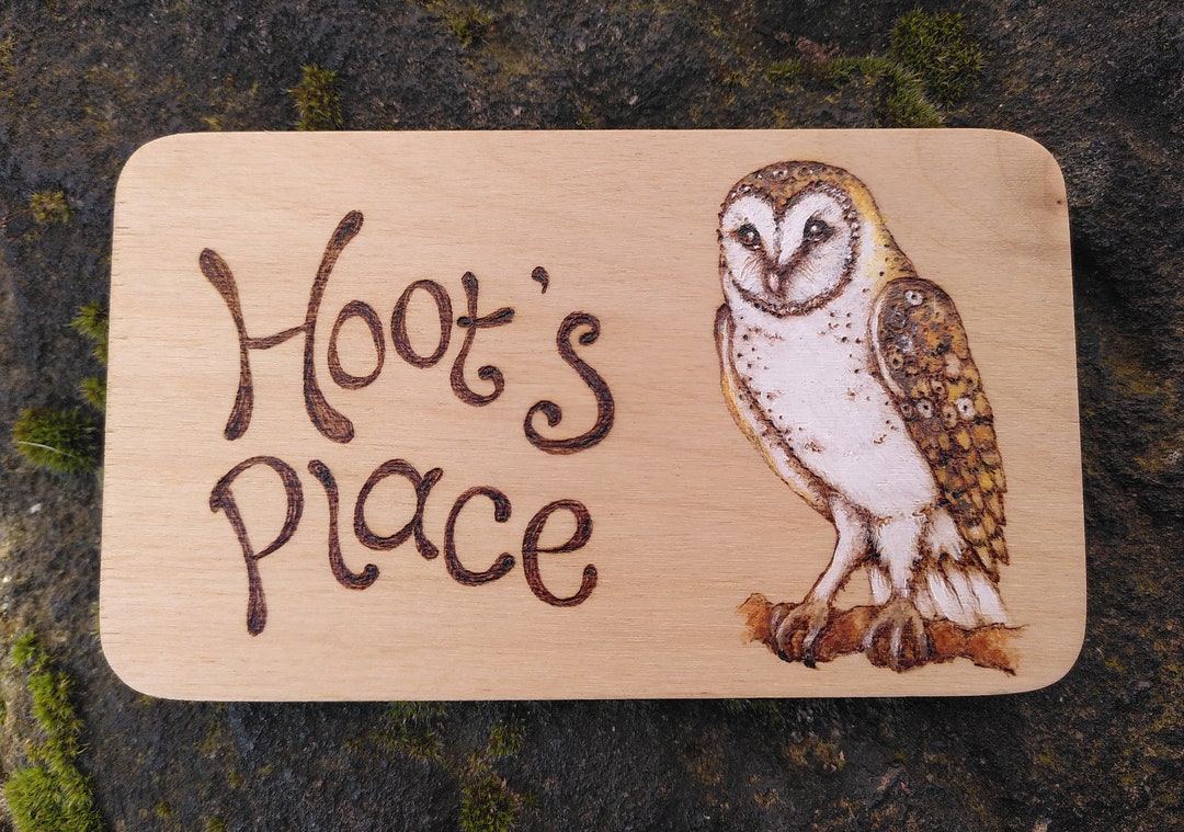 Barn Owl Door Sign Personalised Name Plate for Childrens - Etsy