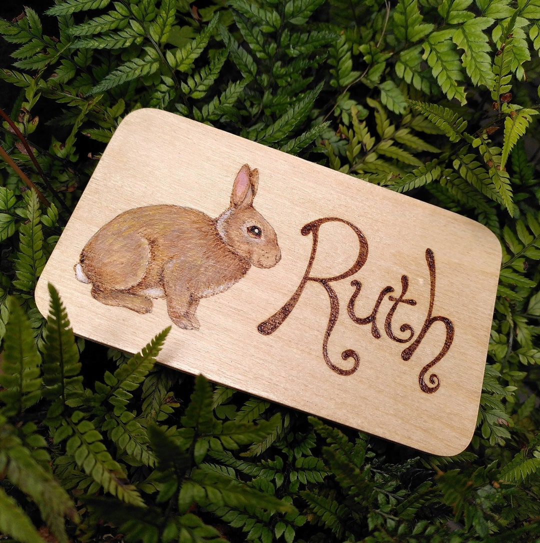 Rabbit Door Plaque - Personalised Name Plate Eg for Kids Room - Painted ...