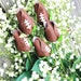 Football Rose, Sport Rose, Football Themed Wedding, Football Senior ...