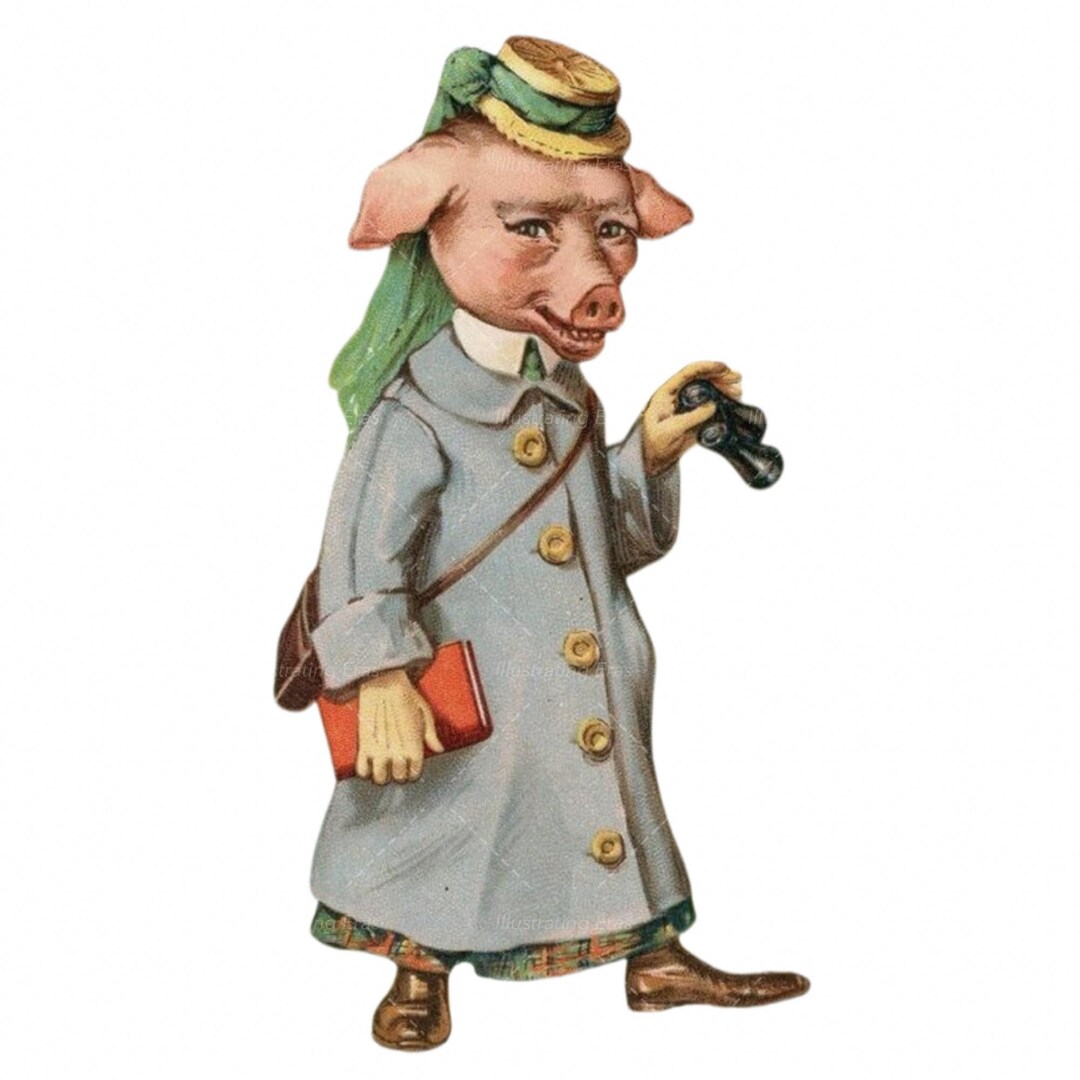 Victorian Pig Illustration | Whimsical Animal Character | Artwork in ...