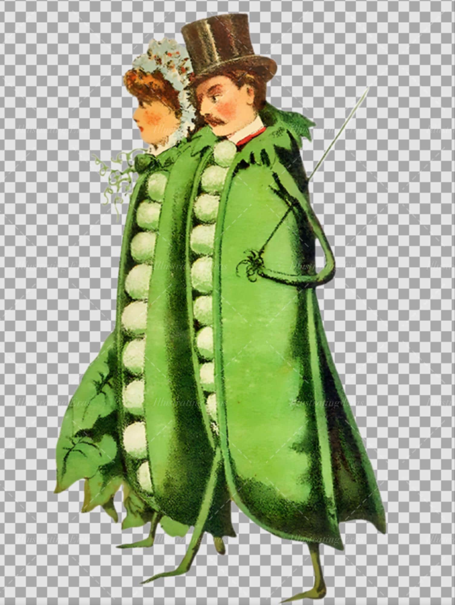 Vintage Pea Pod Couple Illustration: Retro Botanical Art (digital ...