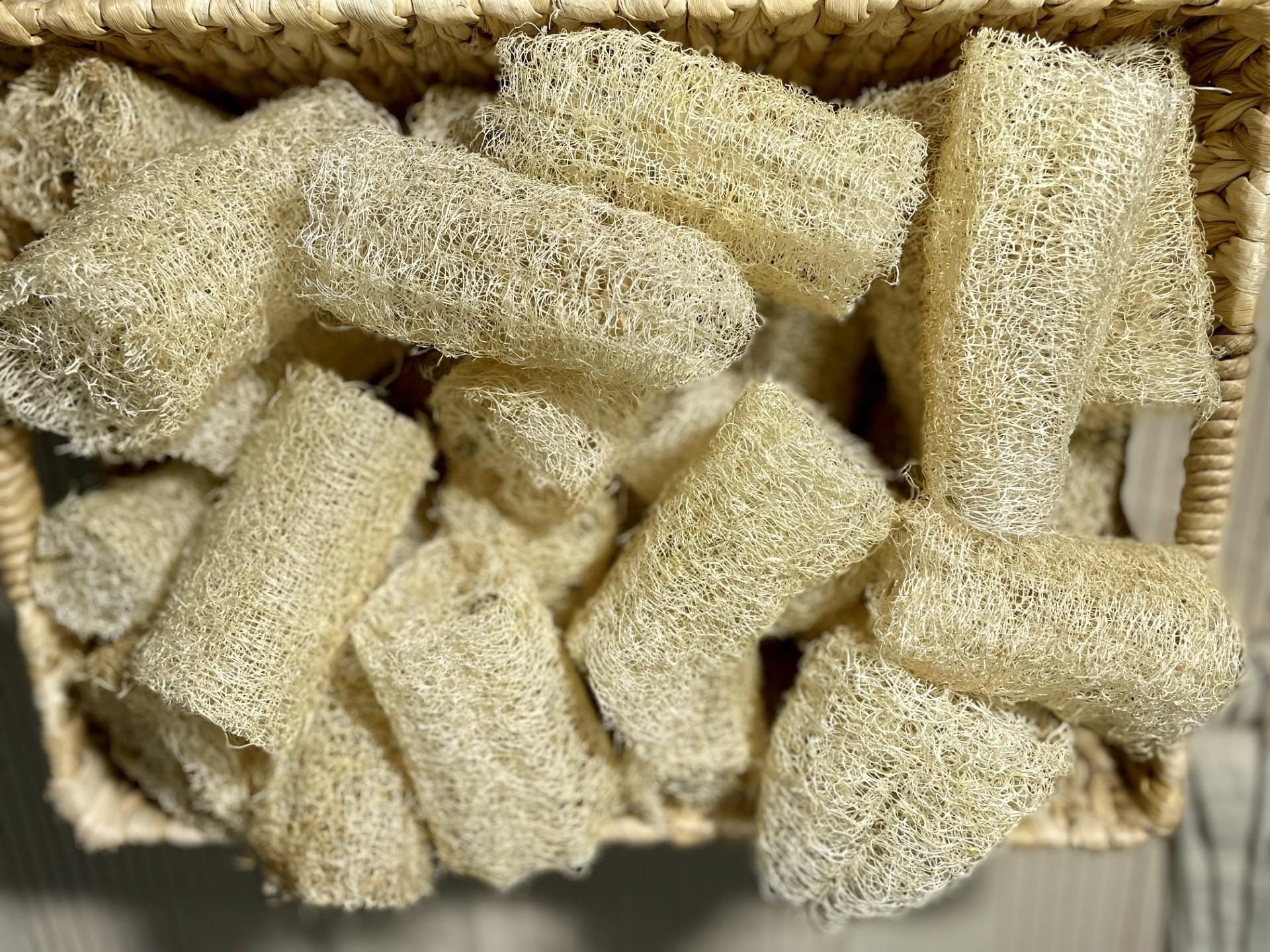 Set of 3 Natural Luffa Sponge, Dried Looffa Gourd Bath and Beauty ...