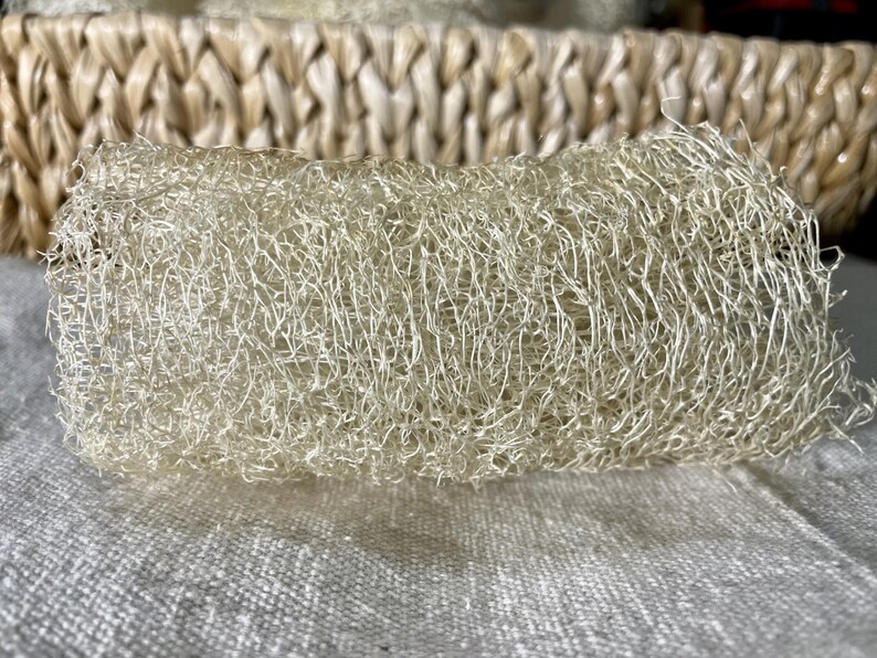 Set of 3 Natural Luffa Sponge, Dried Looffa Gourd Bath and Beauty ...