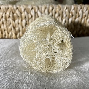 Set of 3 Natural Luffa Sponge, Dried Looffa Gourd Bath and Beauty ...