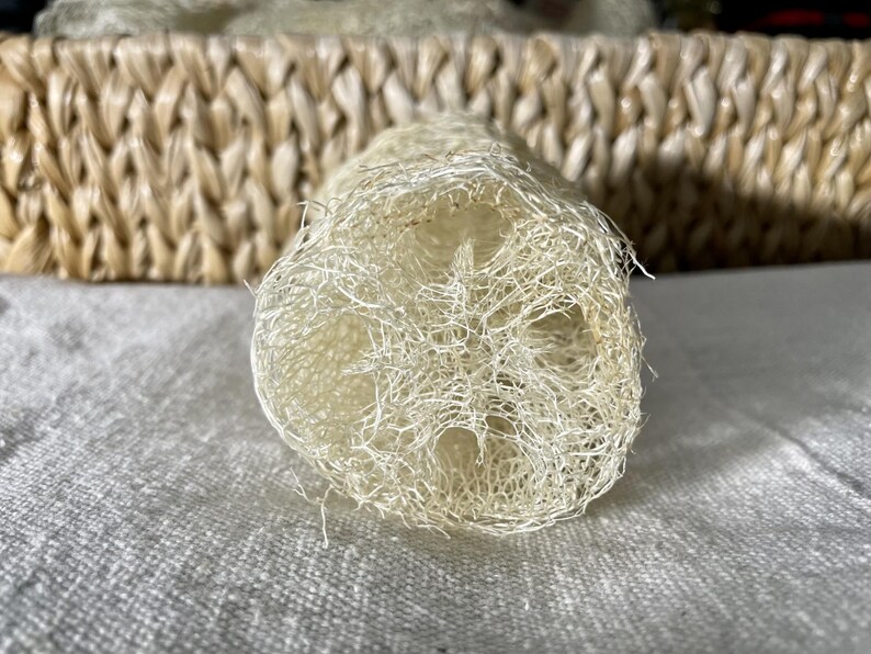 Set of 3 Natural Luffa Sponge, Dried Looffa Gourd Bath and Beauty ...