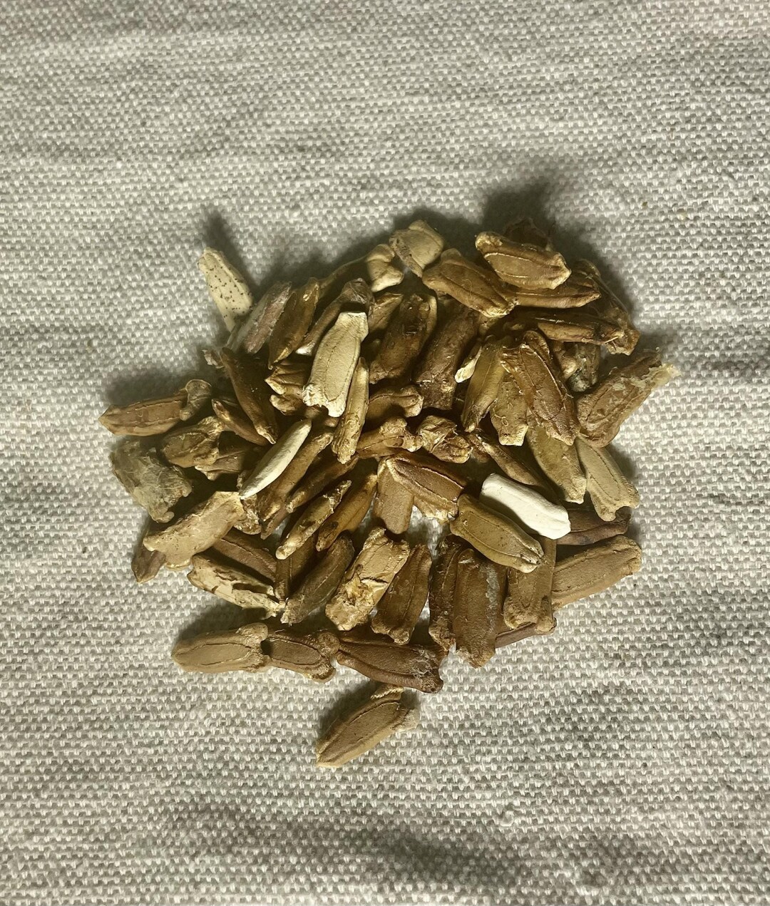 Birdhouse Gourd Seeds Pack of 25 - Etsy