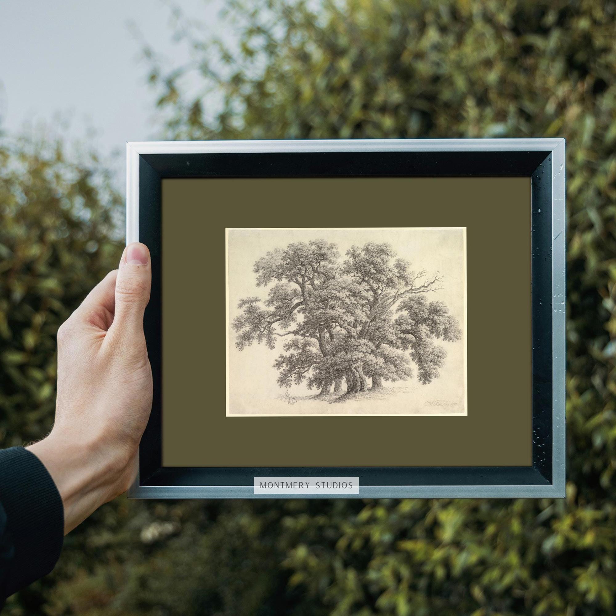 Printable Oak Tree Etching, Antique Tree Pencil Drawing, Muted Dark ...