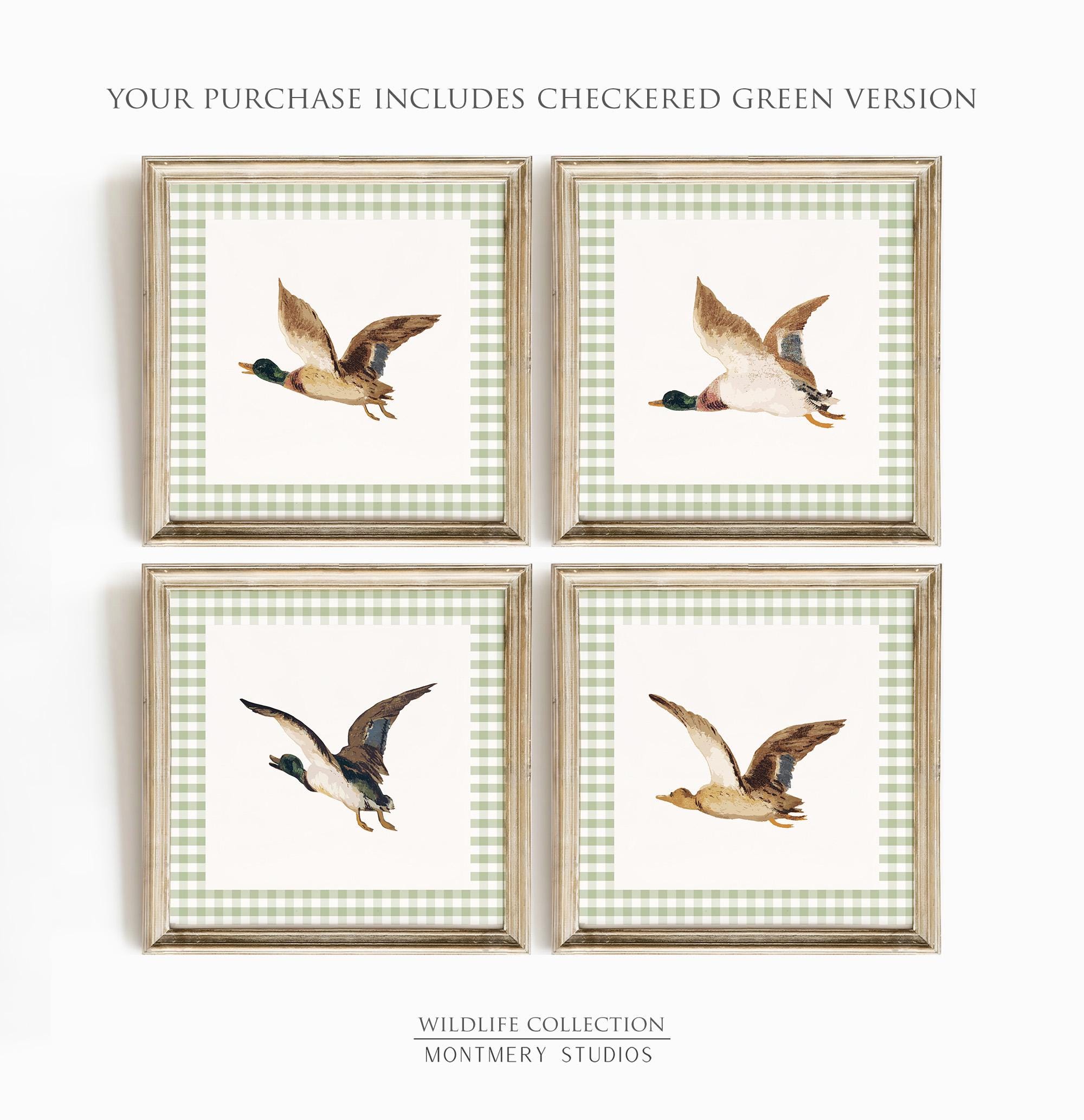 Flying Ducks Prints, Set of 4 Mallard Duck Wall Art, Square Nursery ...