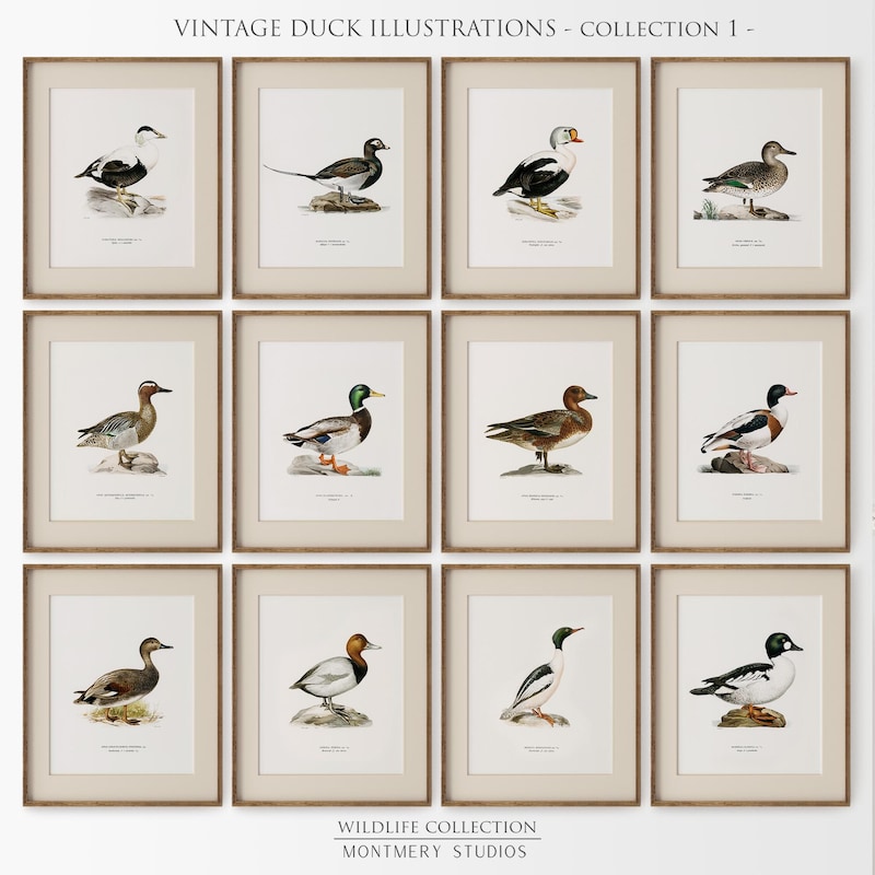 Duck Home Decor Vintage - Etsy UK
