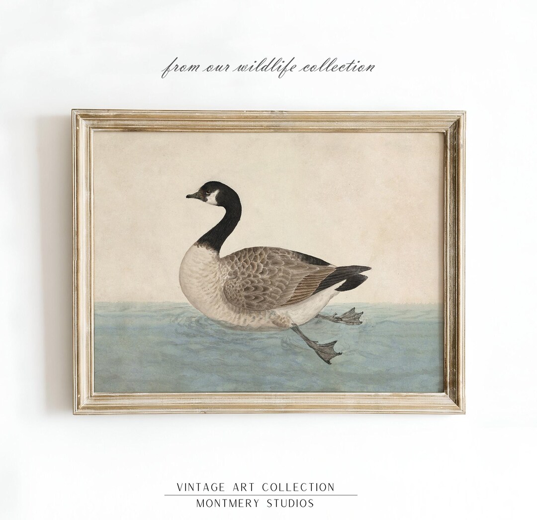 Canada Goose Print, Vintage Goose Painting, Rustic Farmhouse Decor ...