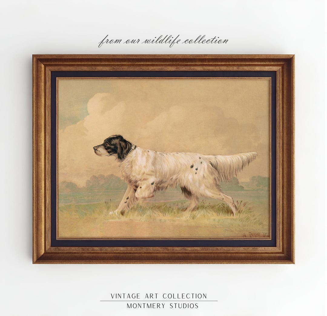 Gun Dog Print, Hunting Dog Art, English Setter Nursery, Vintage Dog ...