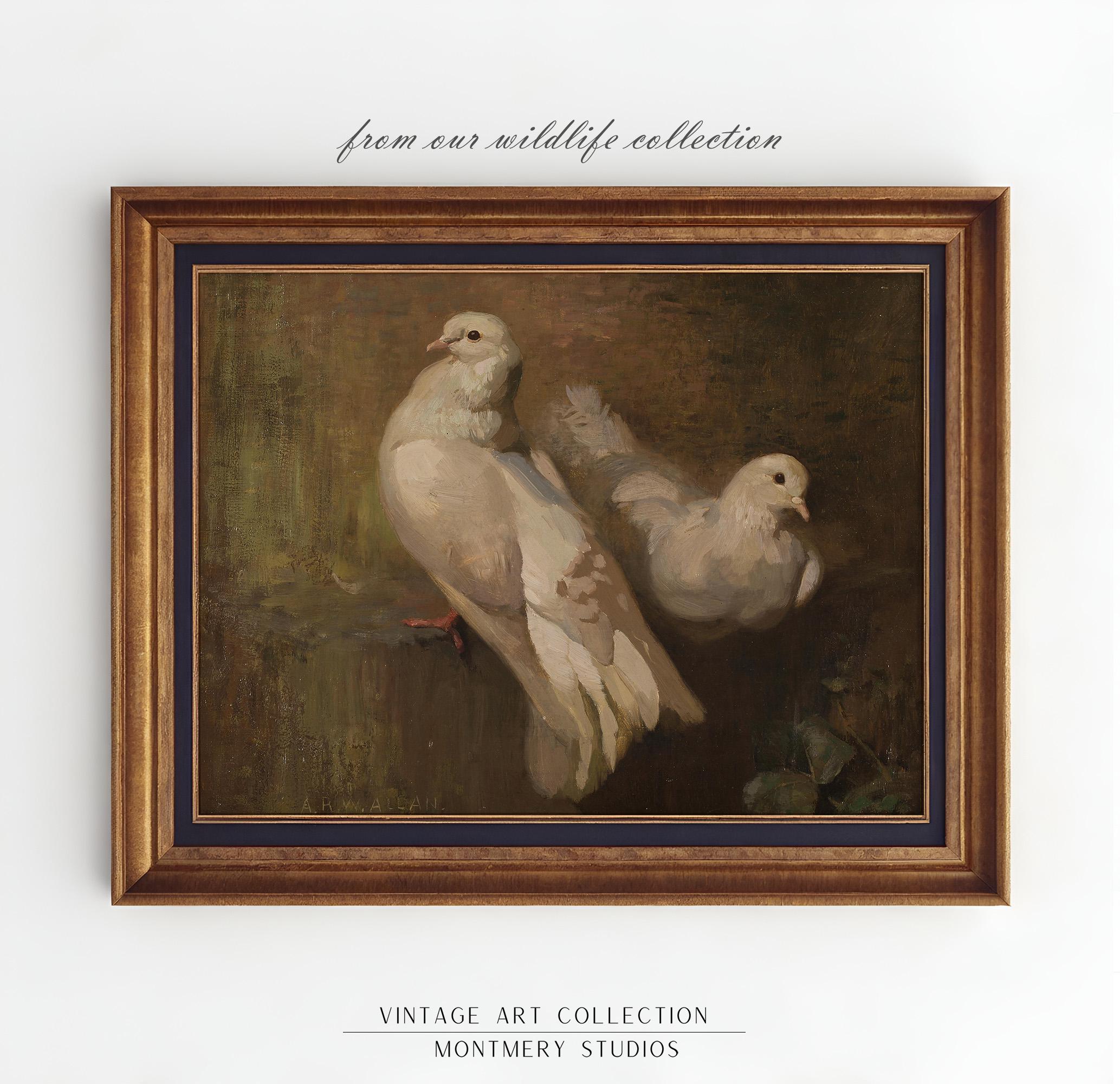 White Doves Print, Vintage Dove Artwork, Fantail Pigeons Wall Art ...