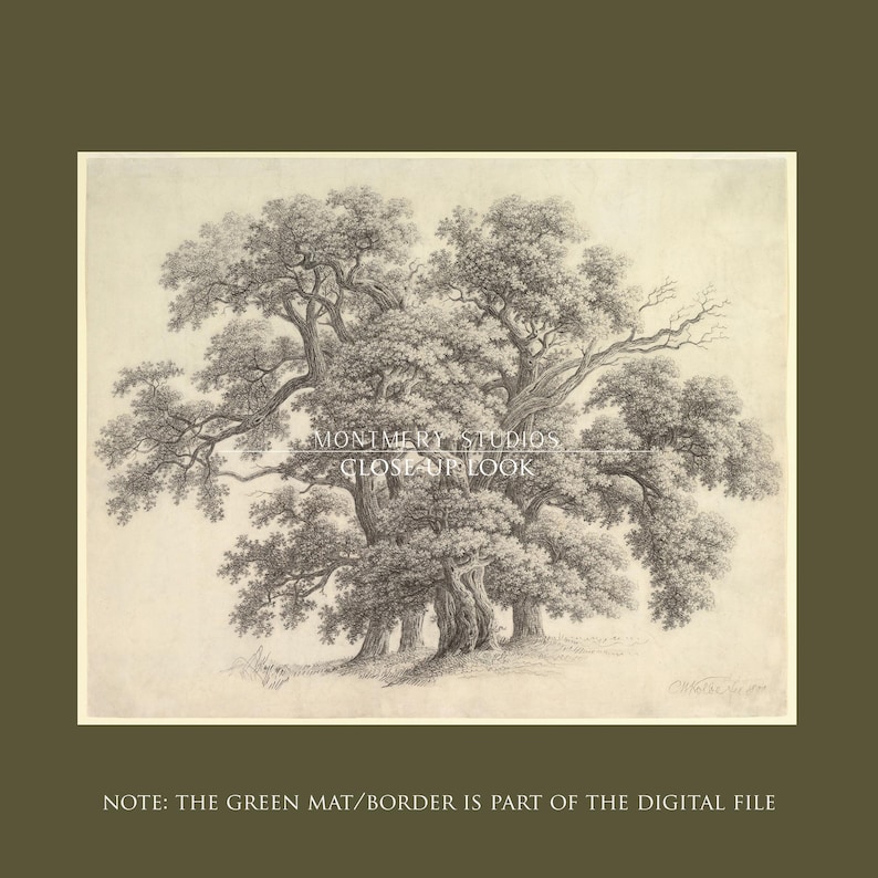 Printable Oak Tree Etching, Antique Tree Pencil Drawing, Muted Dark ...