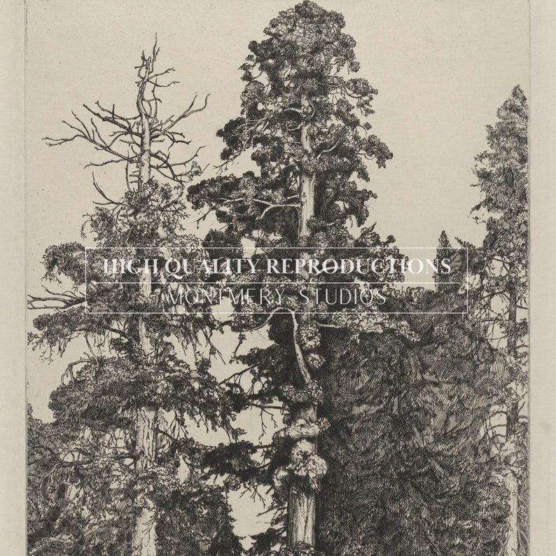 Ernest Haskell Etchings, Vintage Triptych Wall Art Set, Monochrome ...