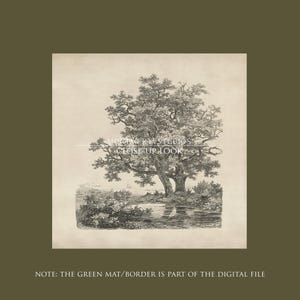 Vintage Oak Tree Etching, Square Printable With Sage Green Mat, Antique ...
