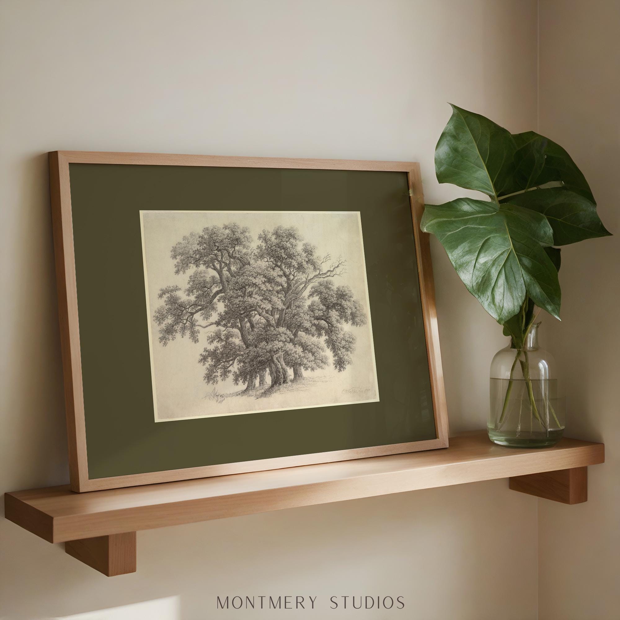 Printable Oak Tree Etching, Antique Tree Pencil Drawing, Muted Dark ...
