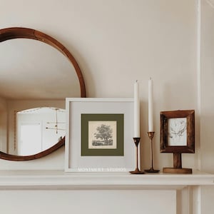 Vintage Oak Tree Etching, Square Printable With Sage Green Mat, Antique ...