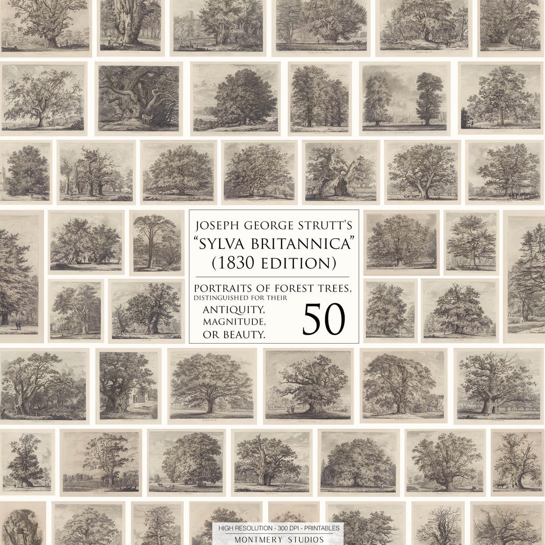 Vintage Forest Tree Art Prints, Set of 50 Etchings by Jacob George ...