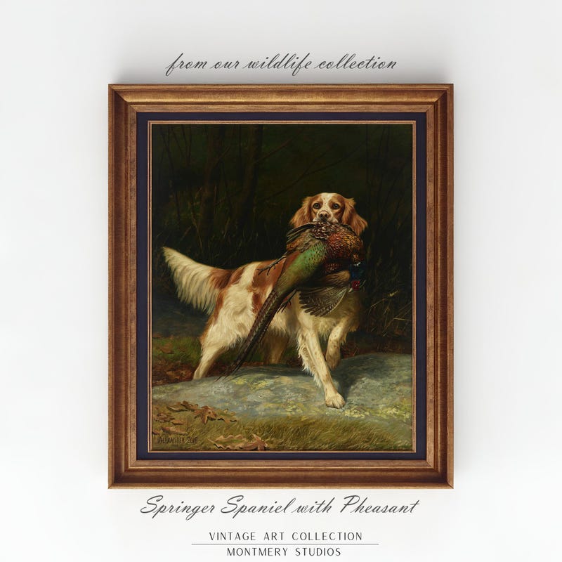 Springer Spaniel Art - Etsy
