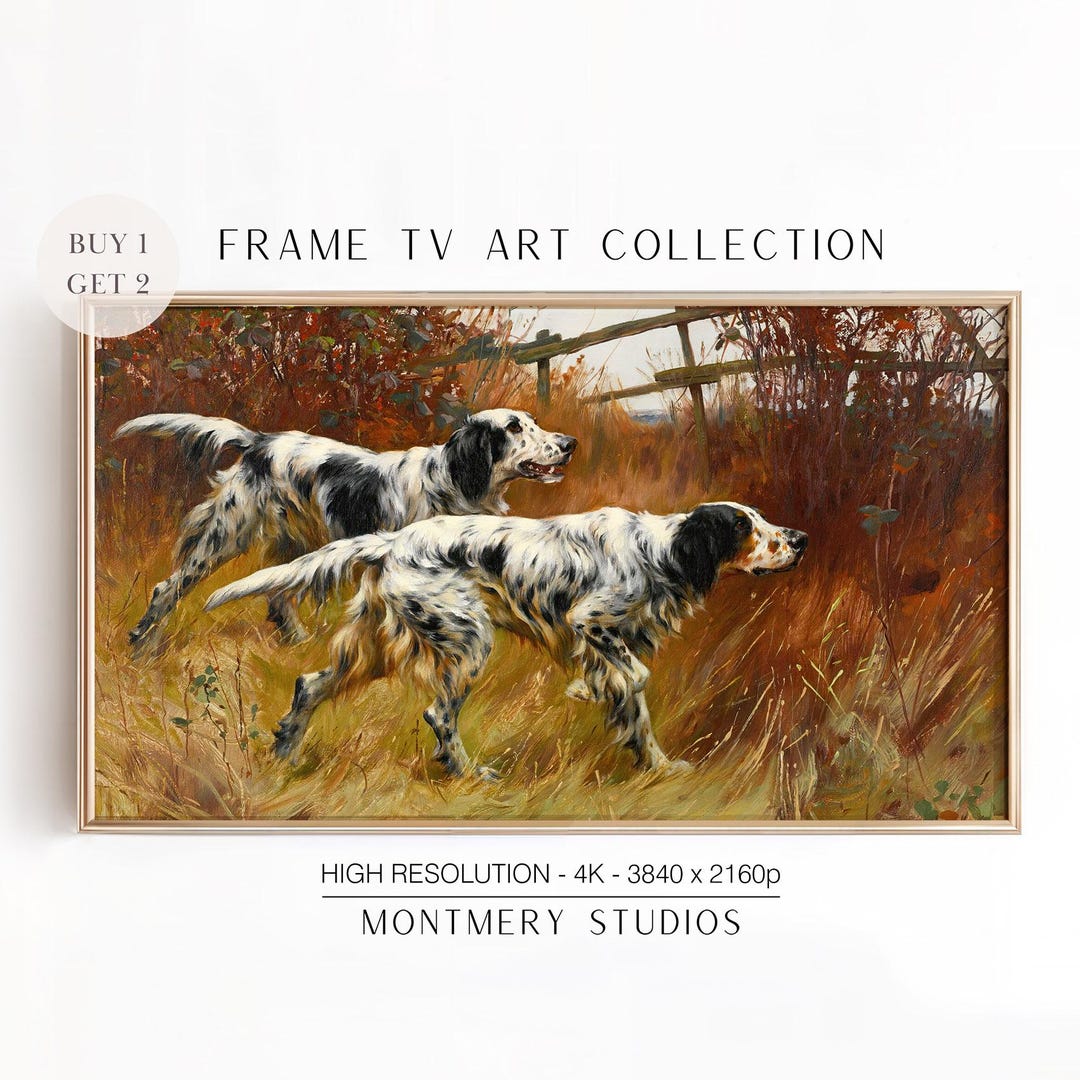 English Setter Hunting Dogs Frame TV Art, Vintage British Wildlife ...