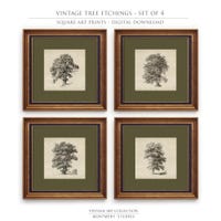 Printable Oak Tree Etching, Antique Tree Pencil Drawing, Muted Dark ...