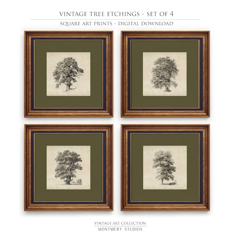 Square Tree Ring Print - Etsy