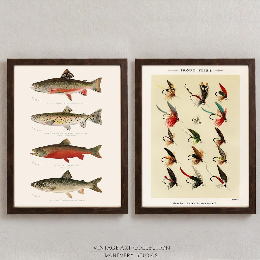 Trout Fishing Prints, Game Fishes of North America, Fishing Flies Art ...
